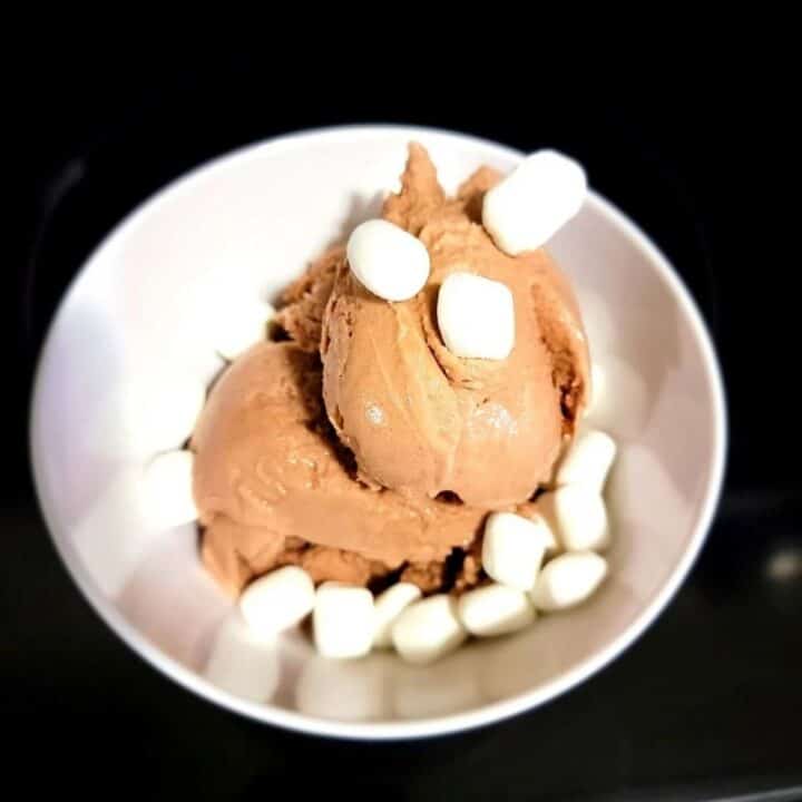 24 Ninja Creami Chocolate Ice Cream Recipes - Popular Ice Cream Recipes