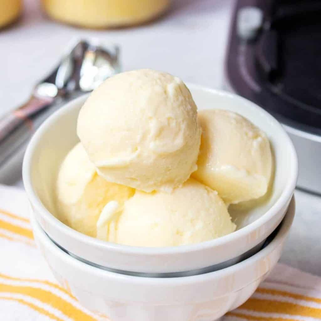 8 Easy Ninja Creami Fairlife Recipes with Amazing Flavor and Texture ...